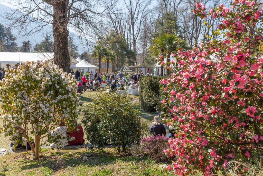 Cento anni per "Camelie Locarno" e il parco si colora di magia - Ticino ...