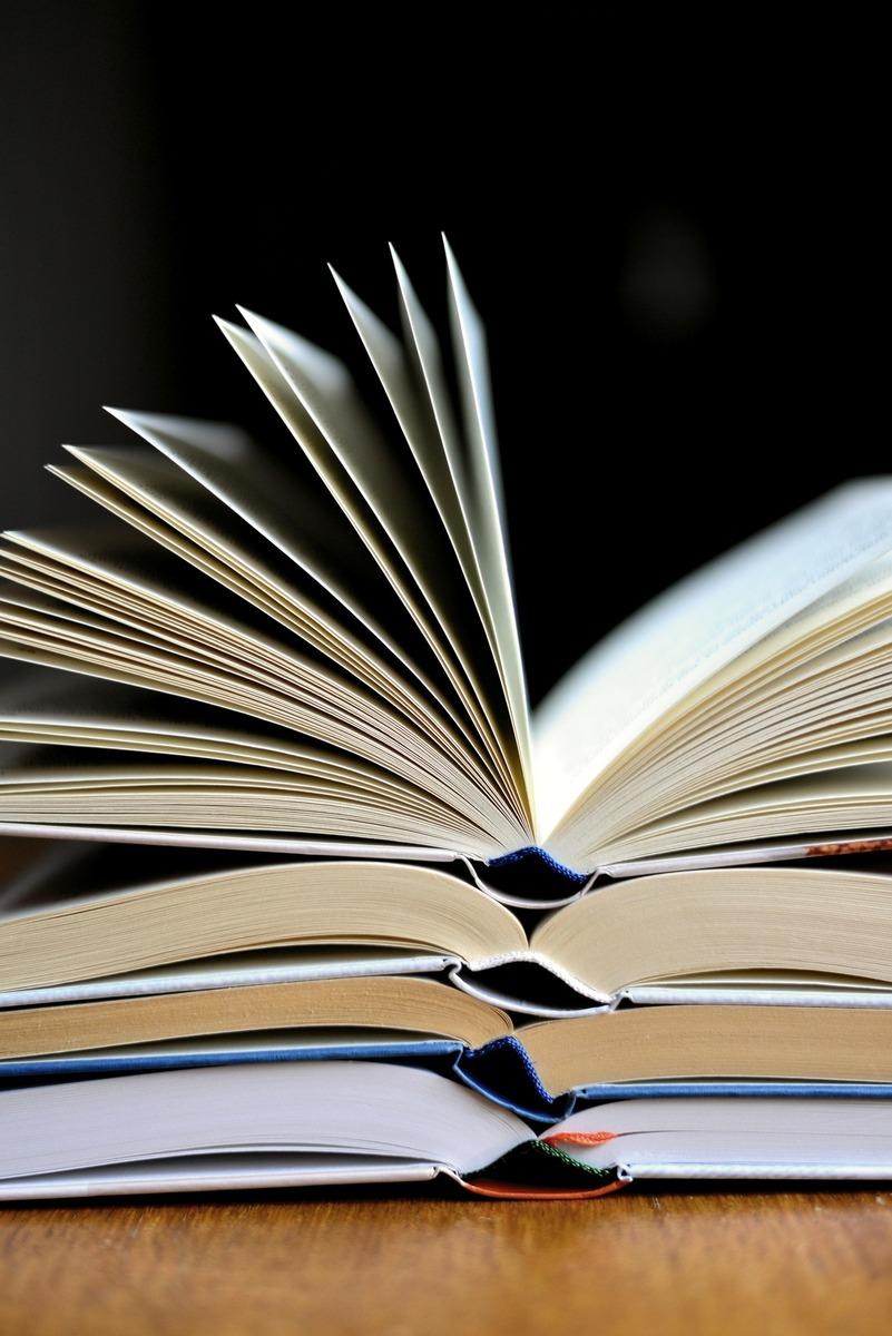 2026 Swiss Literature Prize to Begoña Feijoo Fariña - Ticino Welcome